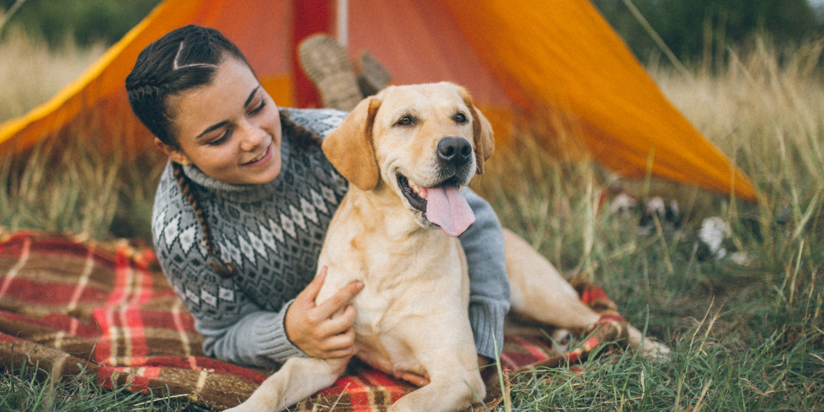 Camping with Dogs: Keeping Your Pet Safe in a Tent