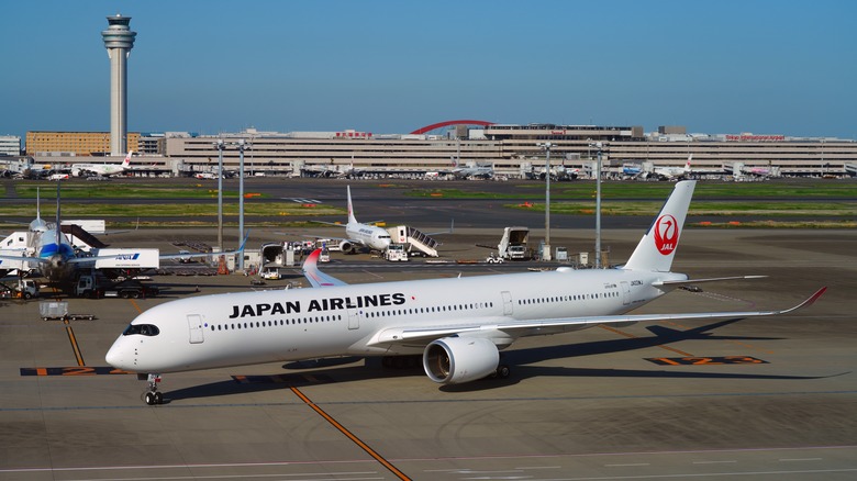 This Inviting Airport In Tokyo Continues To Reign Supreme As The ...