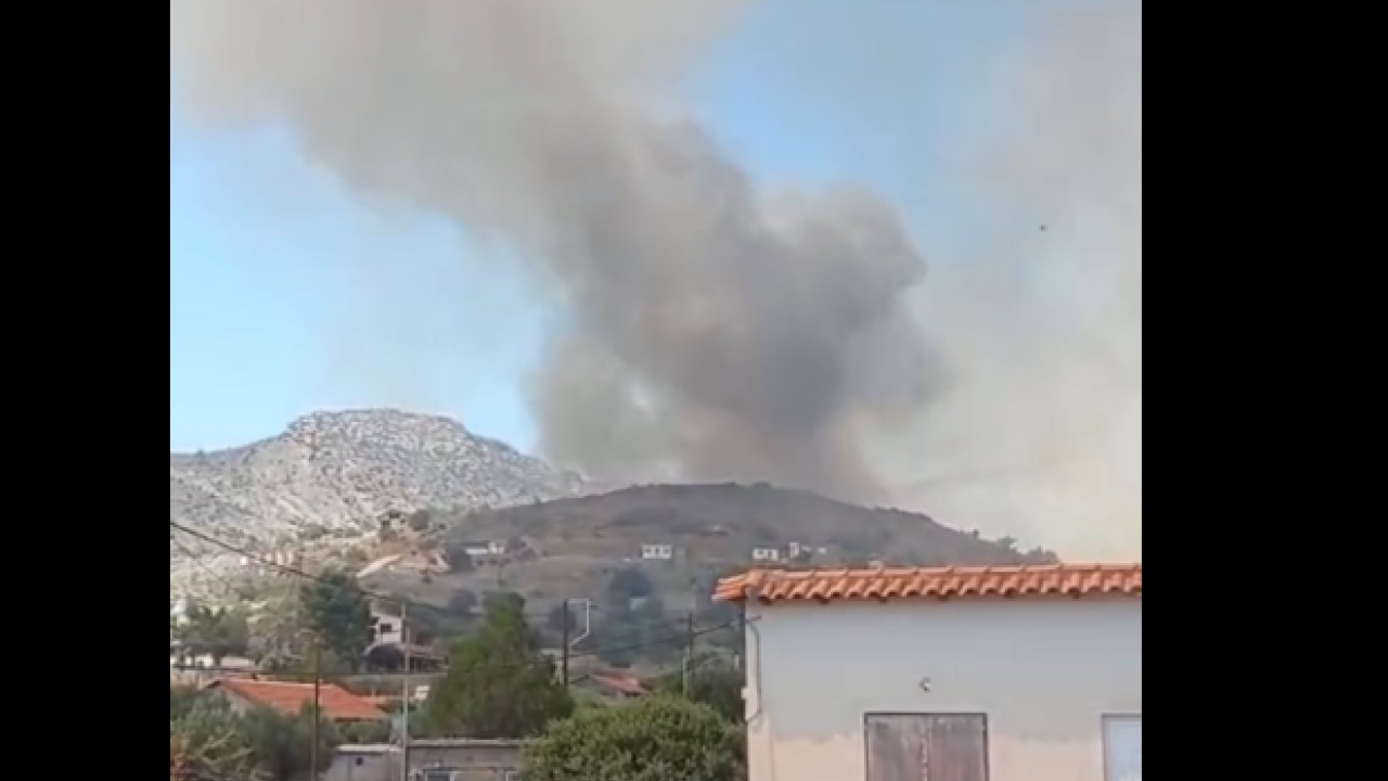 Φωτιά στην Αλυκή Βοιωτίας - Μήνυμα για ετοιμότητα από το 112