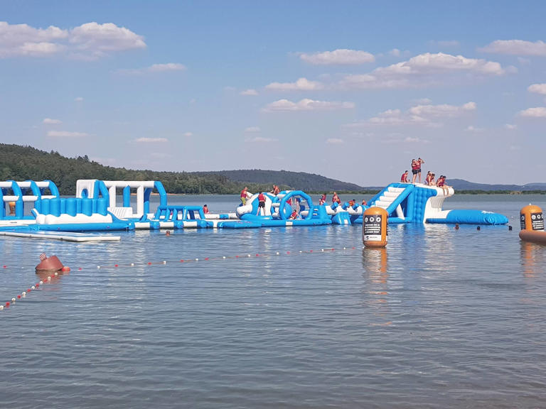 Wels-Angriffe am Brombachsee: Ein Sommer mit Zwischenfällen