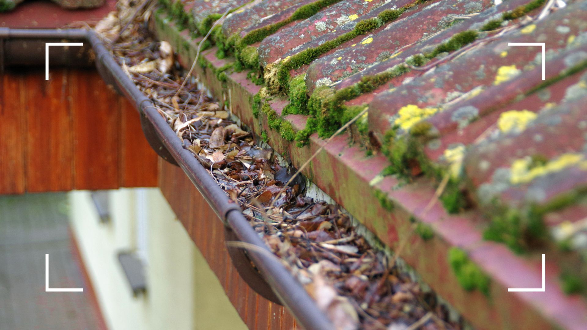 How to clean gutters: an expert guide from drainage specialists for ...