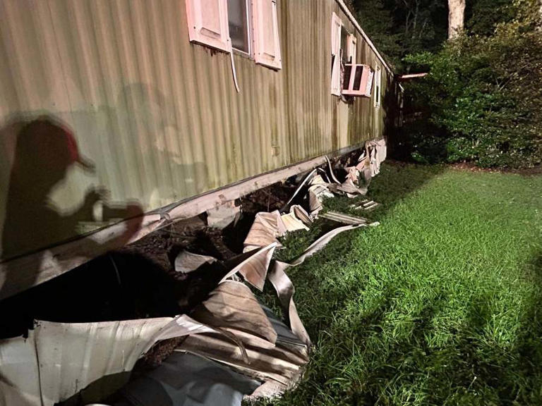 Six people displaced, six pets dead after Prince George trailer fire