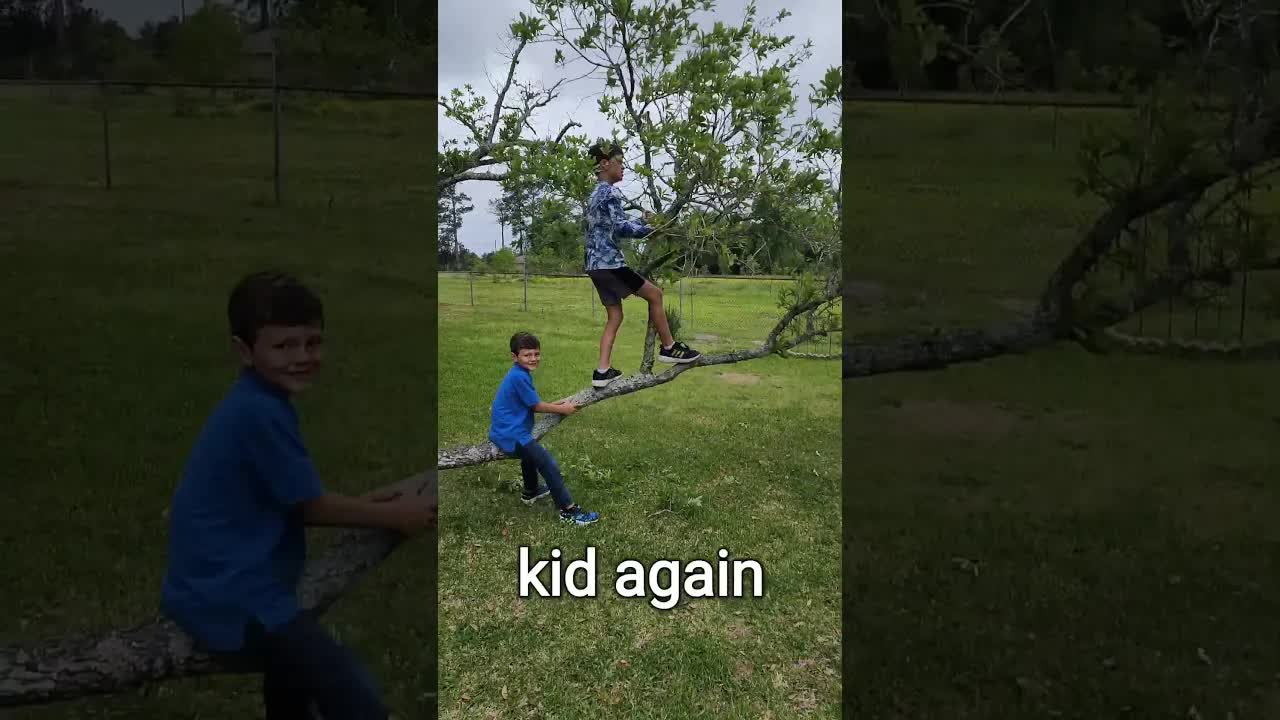 the full life crew: kids climbing trees