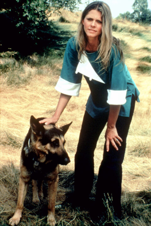 'Bionic Woman' star Lindsay Wagner: 'Didn't see myself as a role model'