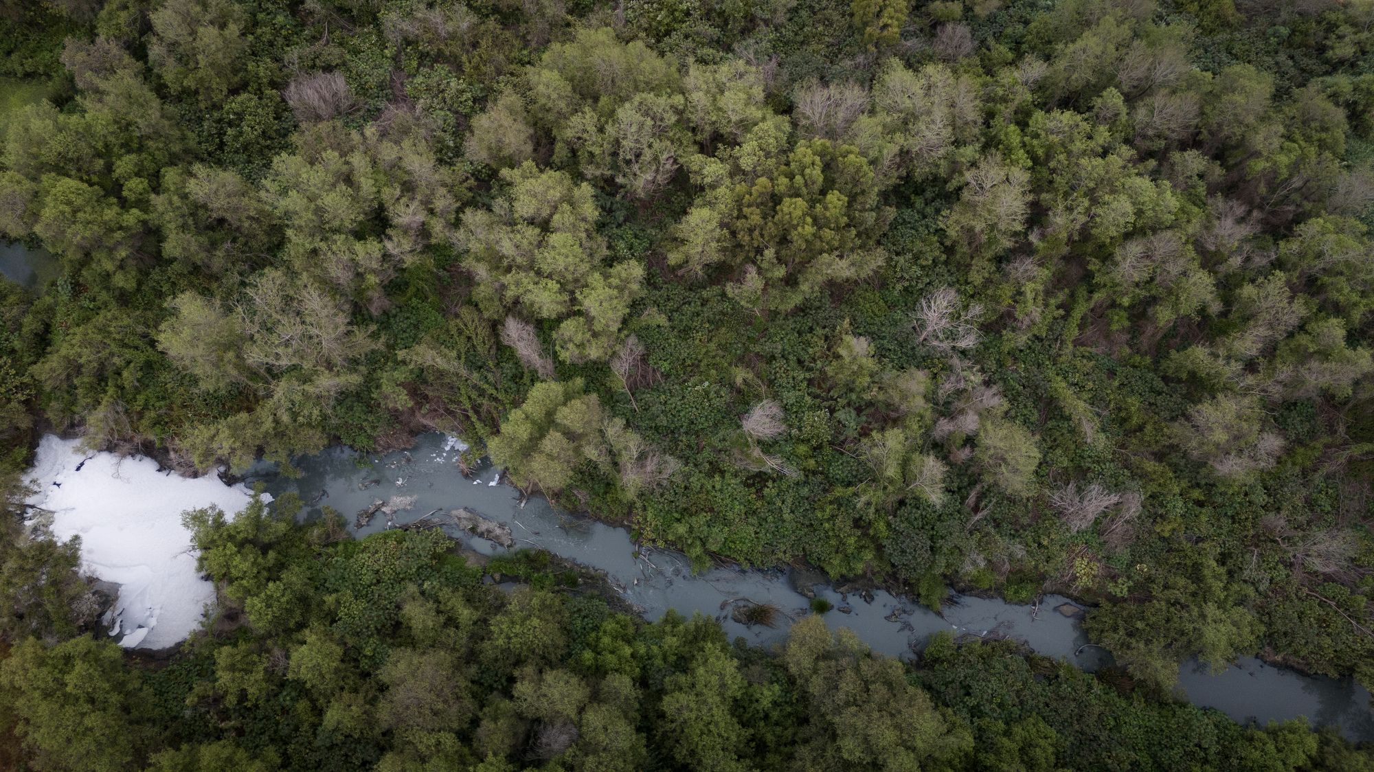 Residents want to know: How do you decide safe levels of hydrogen sulfide?