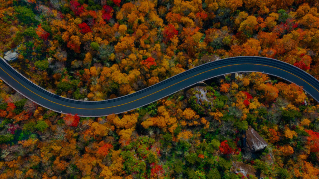 23 Scenic American Drives That Are Better Than the Destination