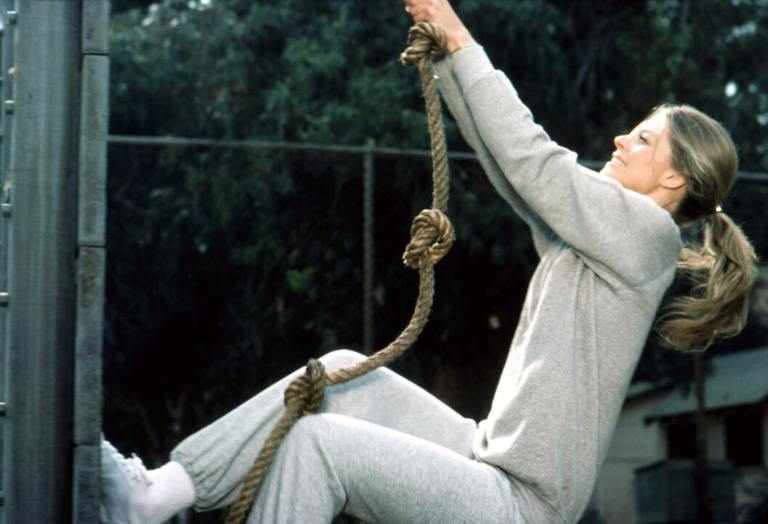 7 Things You Never Knew About ‘The Bionic Woman’