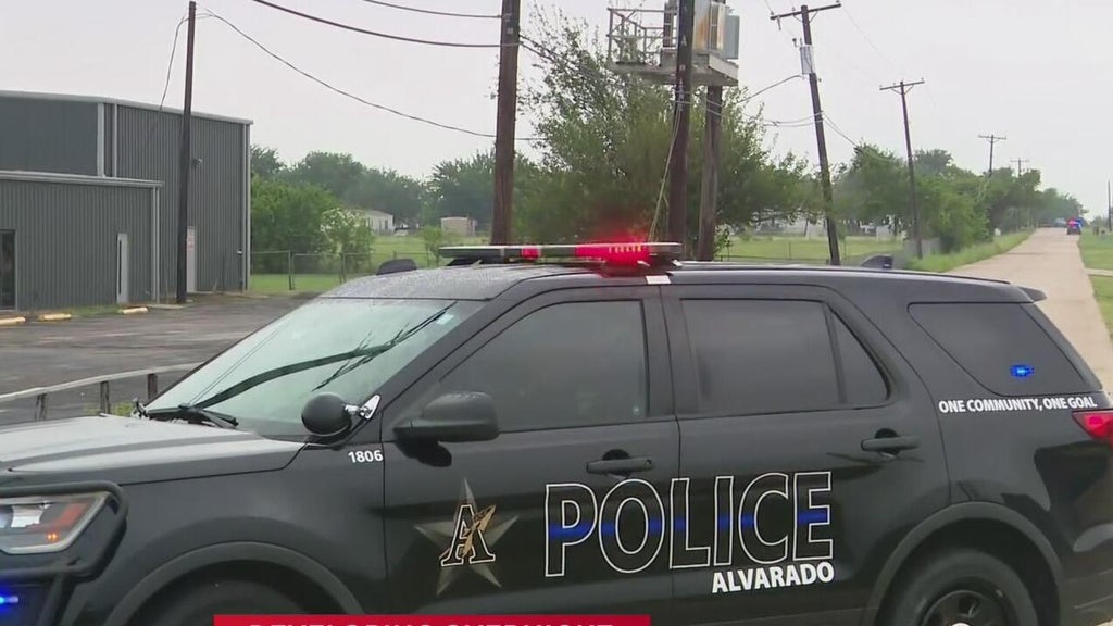Several in custody after North Texas police officer shot in neck ...