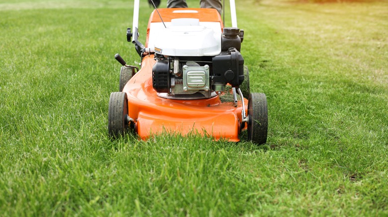 The Simple WD-40 Hack That'll Keep Grass Off Your Lawn Mower Blades
