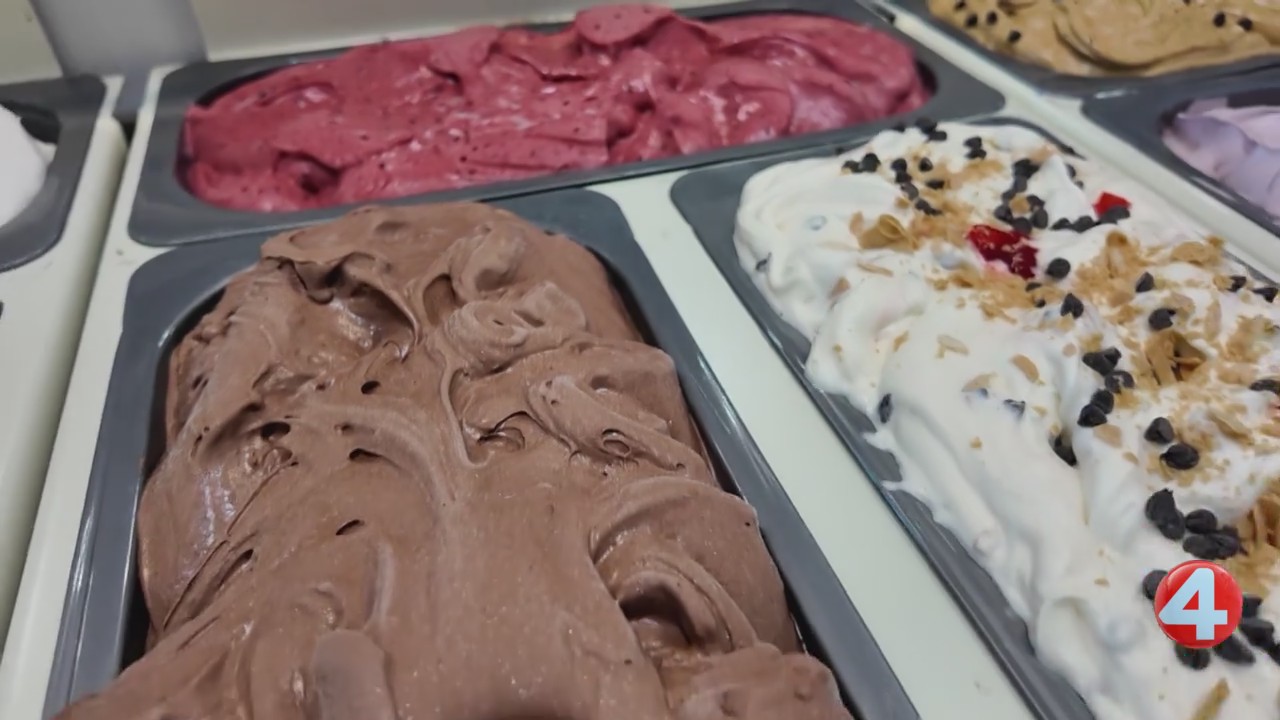 A sneak peek into this year's Taste of Buffalo festival