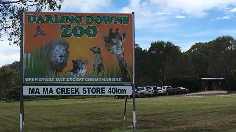 Woman who lost arm in lion attack at Darling Downs Zoo a member of ...