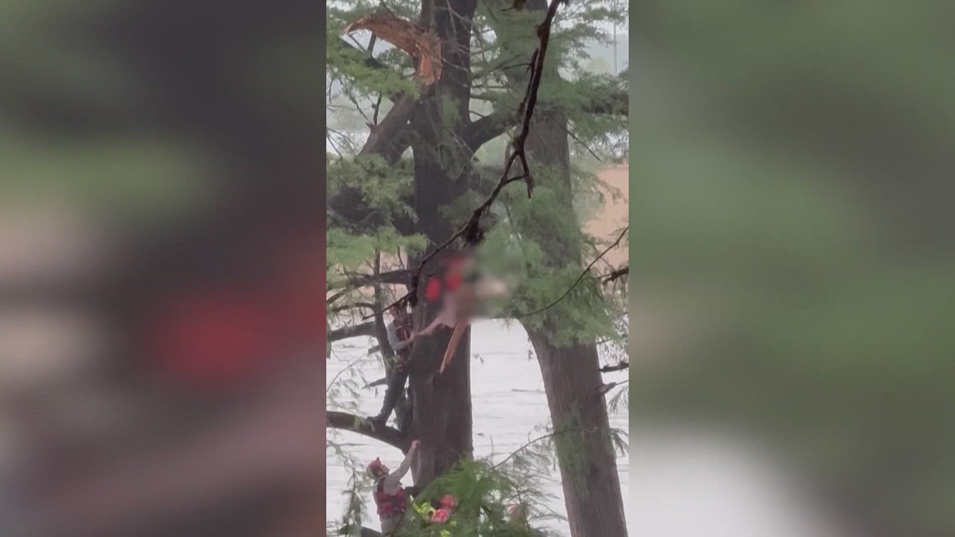 Man saves woman from tree during Hill Country flooding