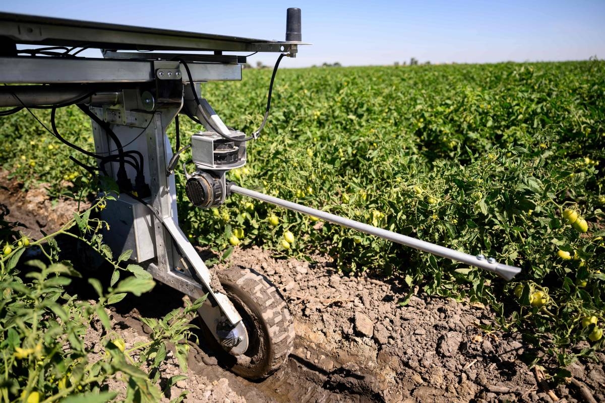 AI robots fill in for weed killers and farm hands