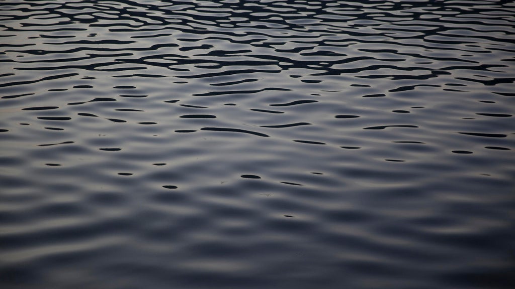 Woman dies after she was swept away by American River in Carmichael
