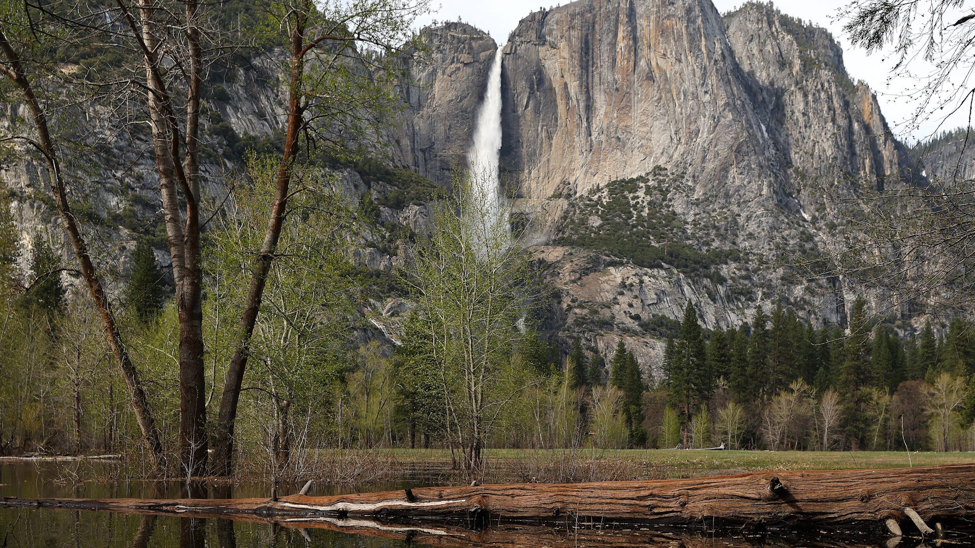 President Trump orders entry fee, DEI changes at national parks