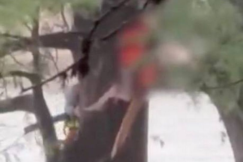 Texas flooding: Moment survivor, 22, found clinging to tree 20 miles ...