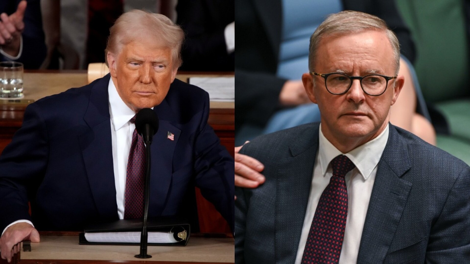 ‘Embarrassing’: Anthony Albanese ‘waving a white flag’ to the US amid ...