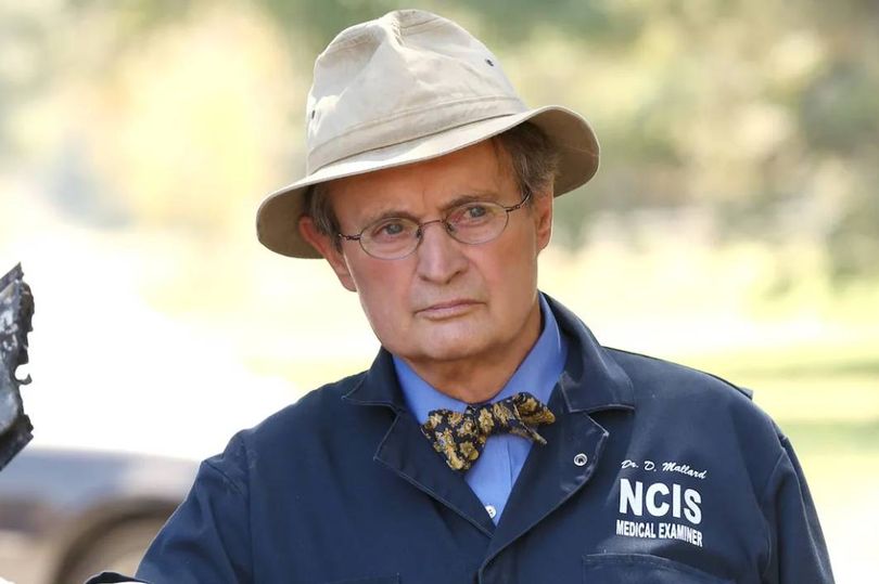 NCIS' Kate Todd star recalls 'inappropriate' off-screen moment with ...