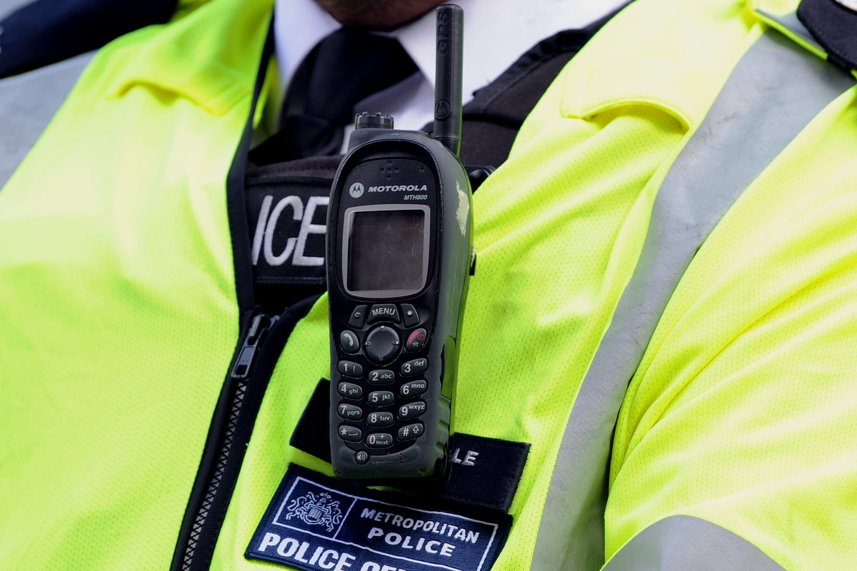 Met’s ‘youngest detective inspector’ in court accused of destroying ...