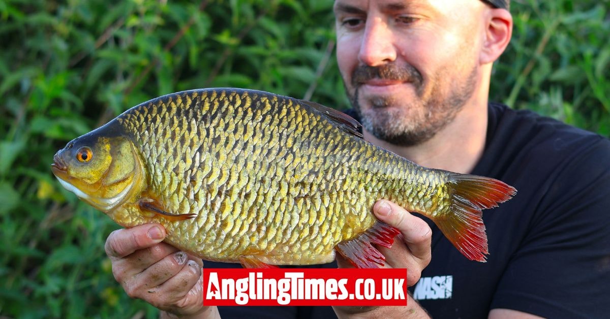 Unusual bait choice helps bank enormous river rudd
