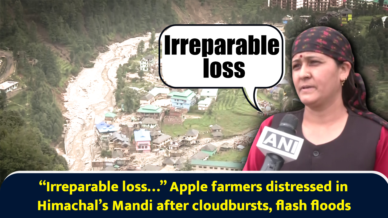 “Irreparable loss…” Apple farmers distressed in Himachal’s Mandi after ...