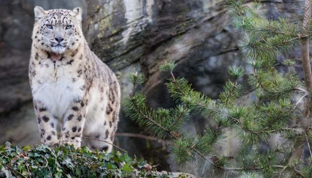 Officials thrilled after once-in-a-lifetime encounter with extremely ...