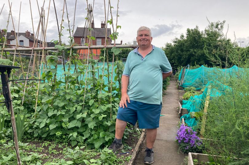 The 100-year-old Stoke-on-Trent allotment that's 'best in the city'