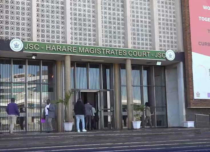Zim editor granted bail after days in jail