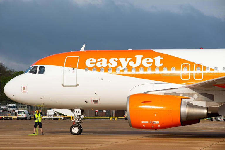 EasyJet pilot who 'got drunk and stripped naked in bar' grounded ahead ...