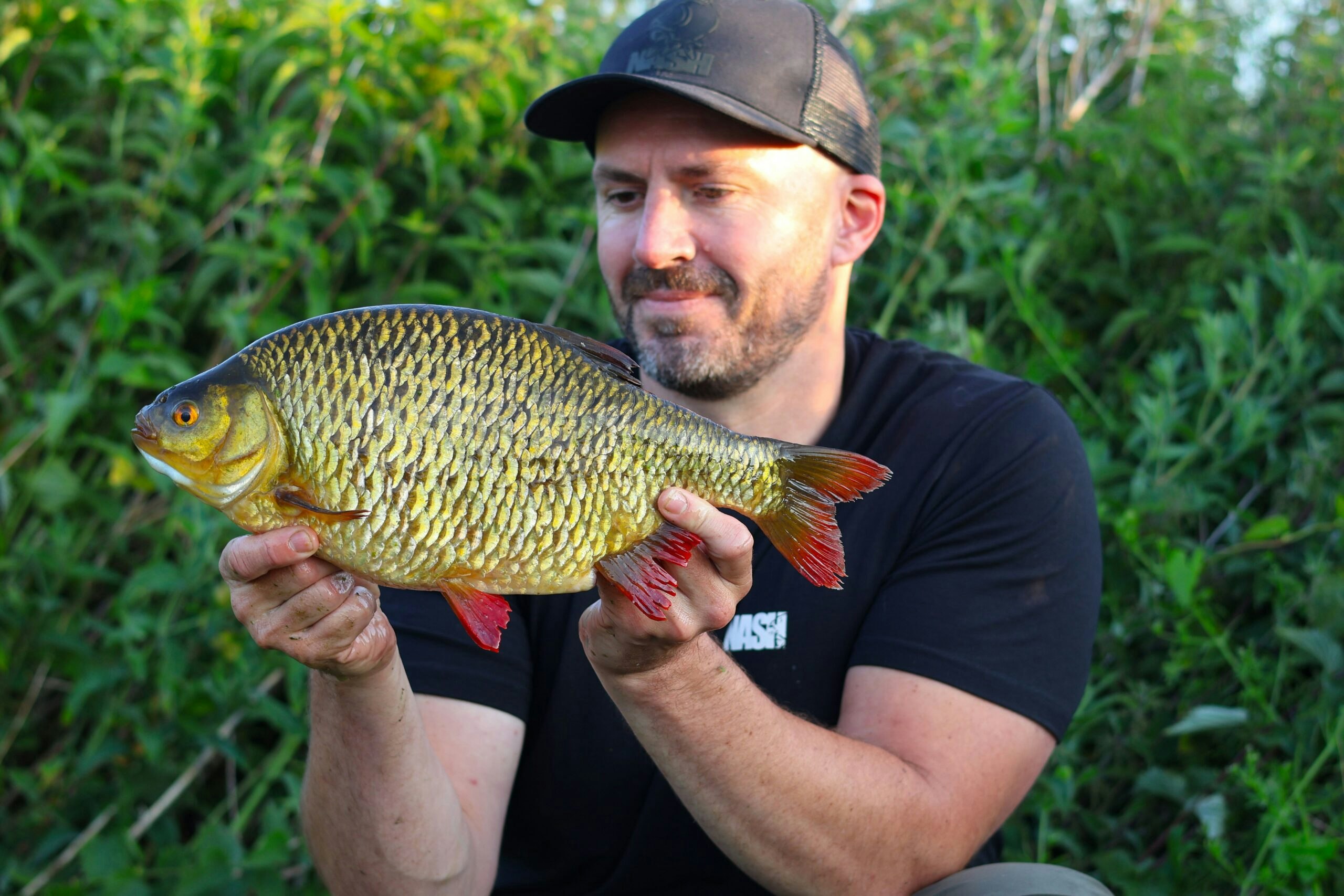 Unusual bait choice helps bank enormous river rudd