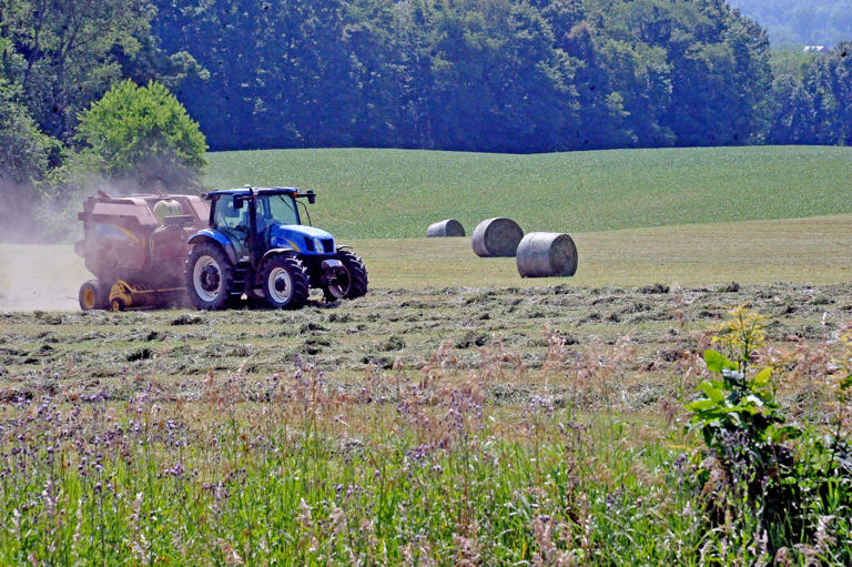Innovations in hay harvesting save time and increase quality of livestock