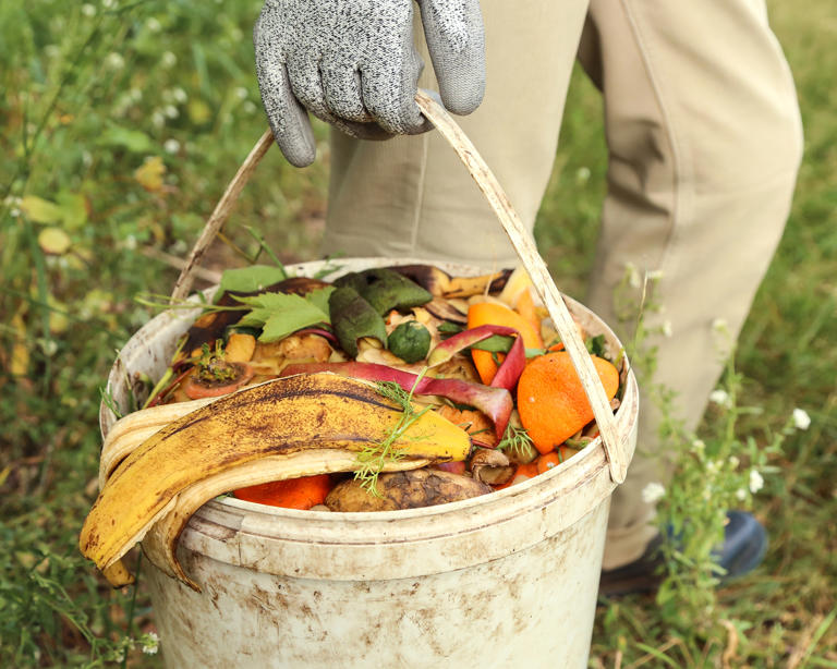 No Compost Bin? Try This Easy Winter Hack That Turns Food Scraps Into ...