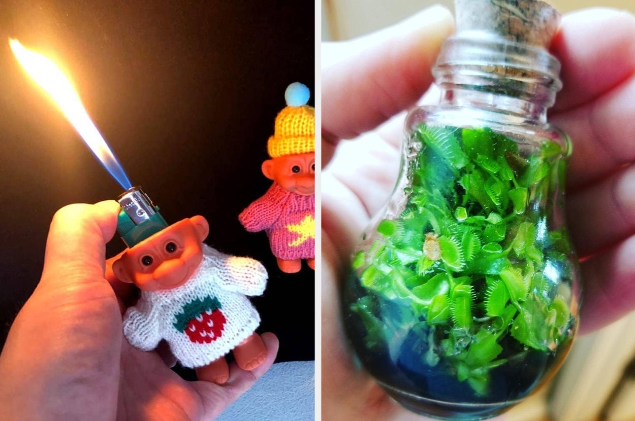 38 Interesting, Unique, And Straight-Up Bizarre Gifts To Bestow Upon ...