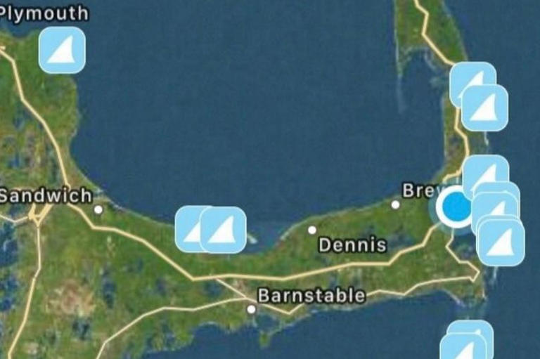 New map shows surge in sharks lurking around Cape Cod as locals on alert