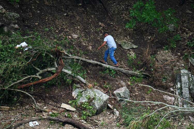 Houston Mayor Whitmire permanently removes food insecurity board member ...