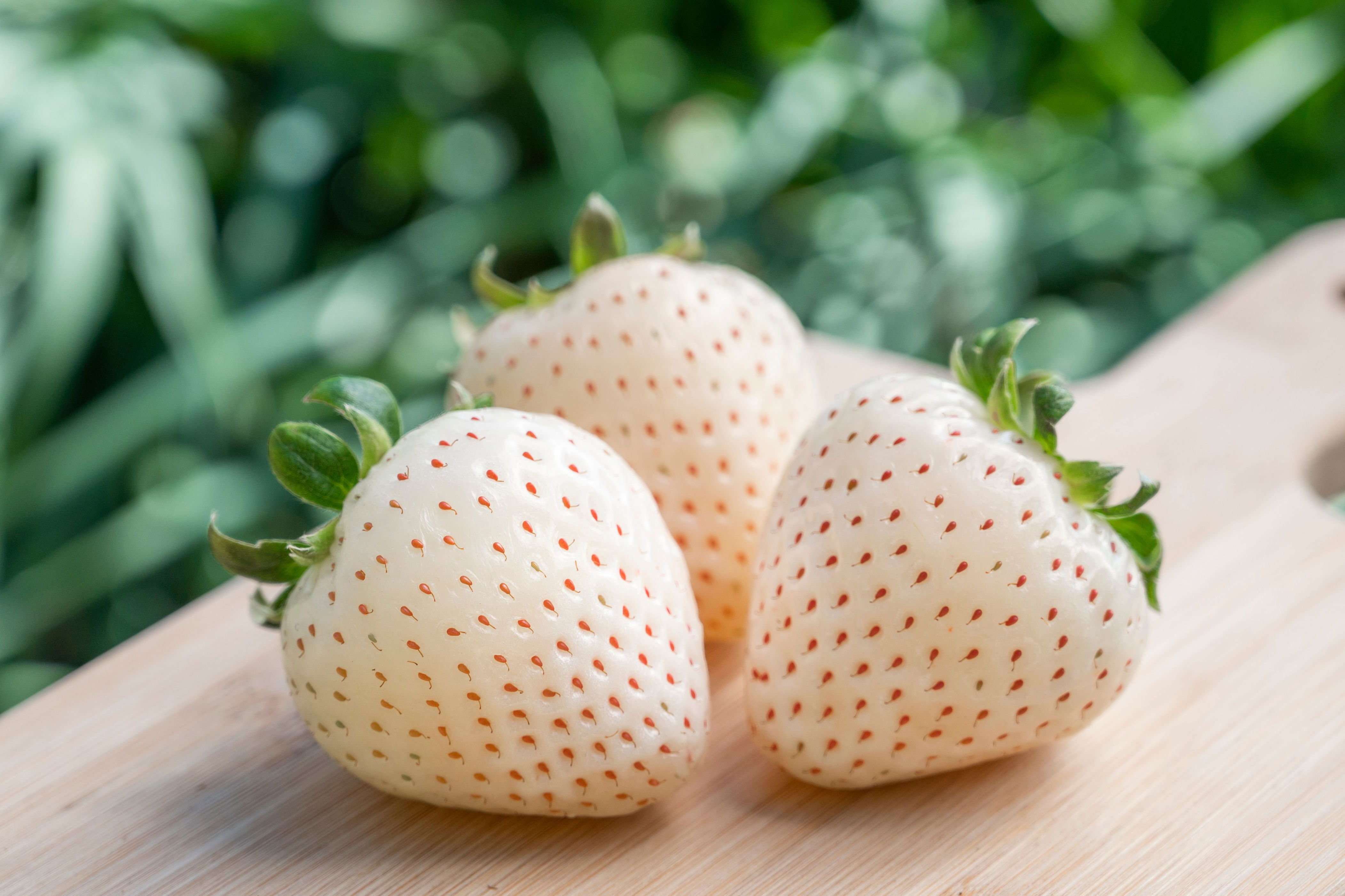 Info ou intox : les fraises blanches existent-elles vraiment