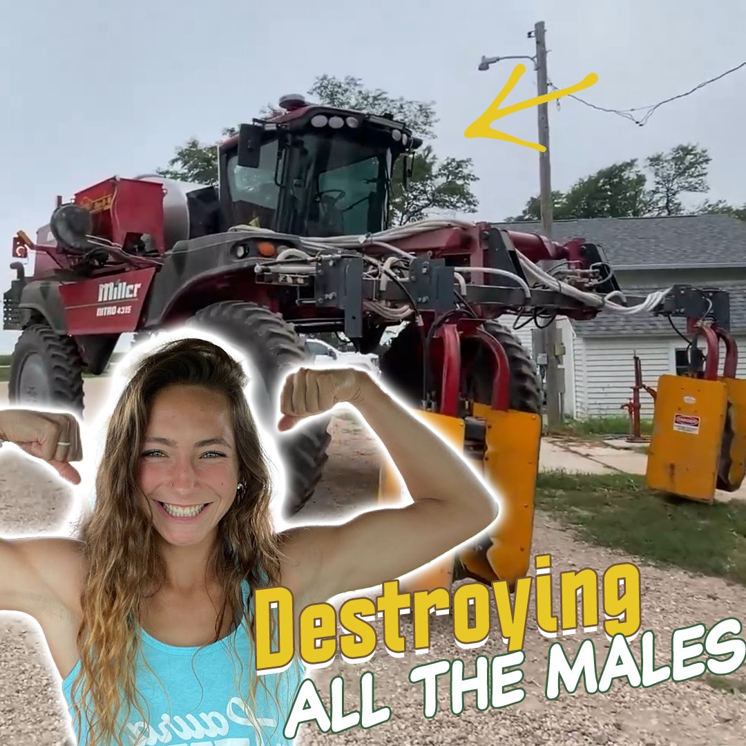 Mastering The Controls Of The "Destroyer" 🚜 ️