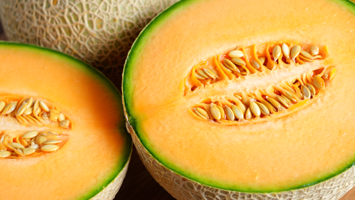 Le melon : nos secrets pour le choisir, bien le conserver et 3 idées ...