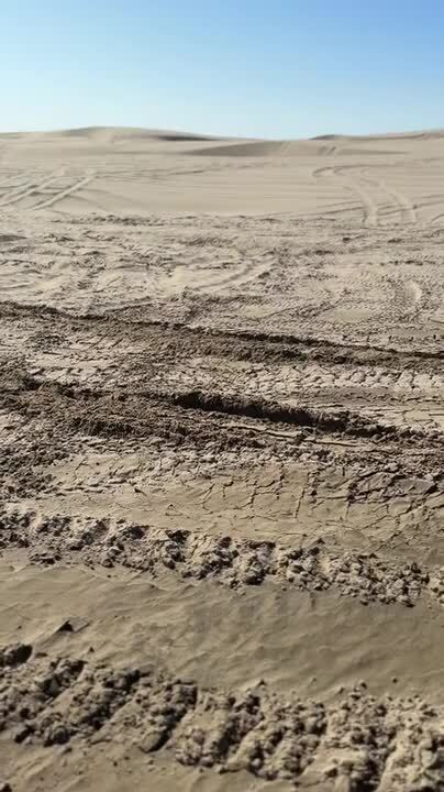 Man Captures Quicksand While Filming
