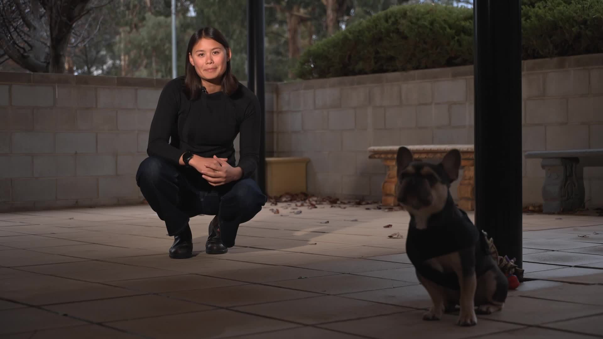 ACT government mandates human contact hours for dog owners