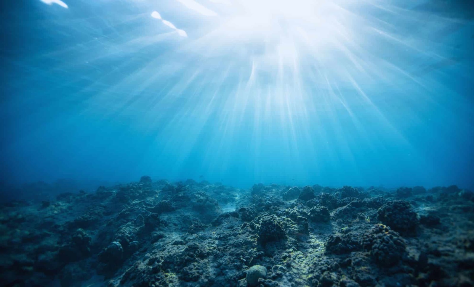 Revolutionary Satellite Data Reveals Unmatched Detail of How Oceans ...