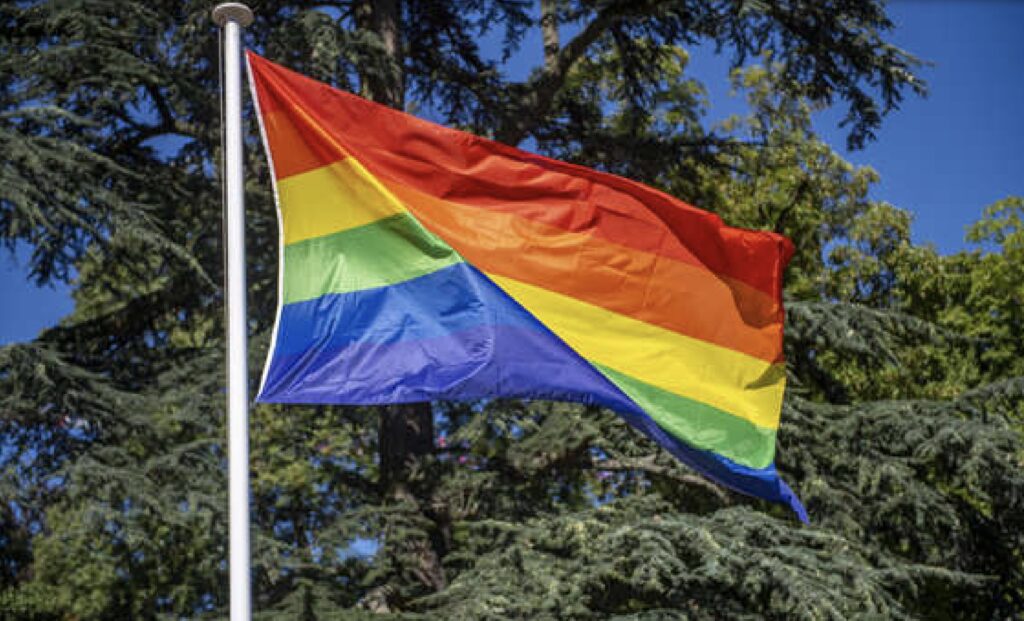 La Roche-sur-Yon : le drapeau arc-en-ciel sur la mairie suscite un ...