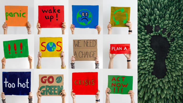 Bridging the climate gap: Why 2035 targets matter for net-zero