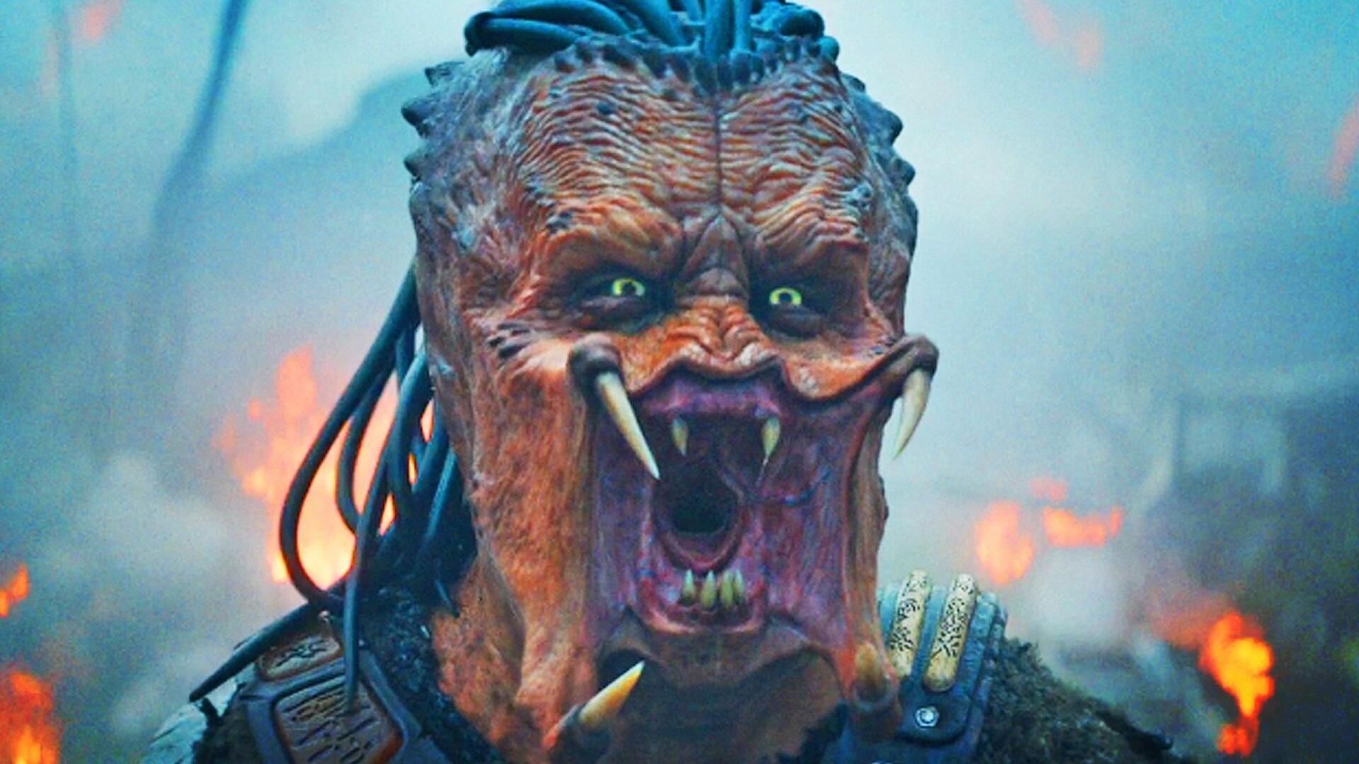 The Reason Predators Come To Earth To Hunt