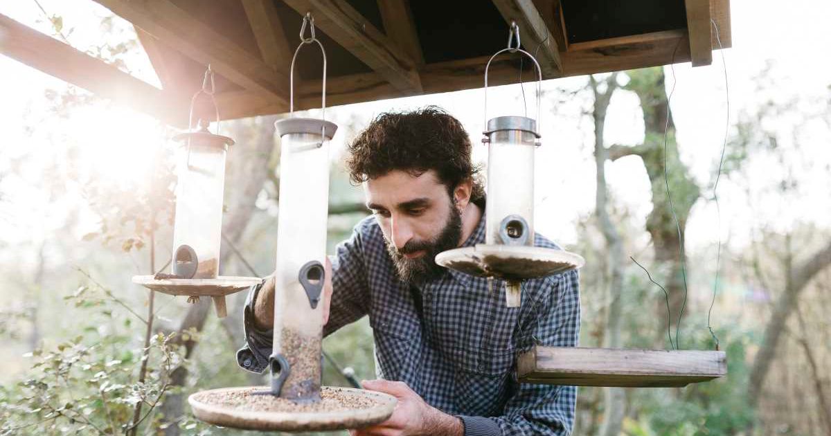 Experts Were Asked What They Use to Clean Bird Feeders — and They All ...