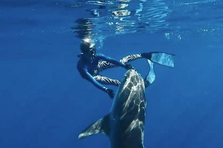 Netflix Shark Whisperer’s eerie 10 words for death risk from predators ...