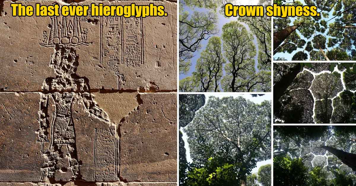 25 Interesting Images From Our Fascinating World