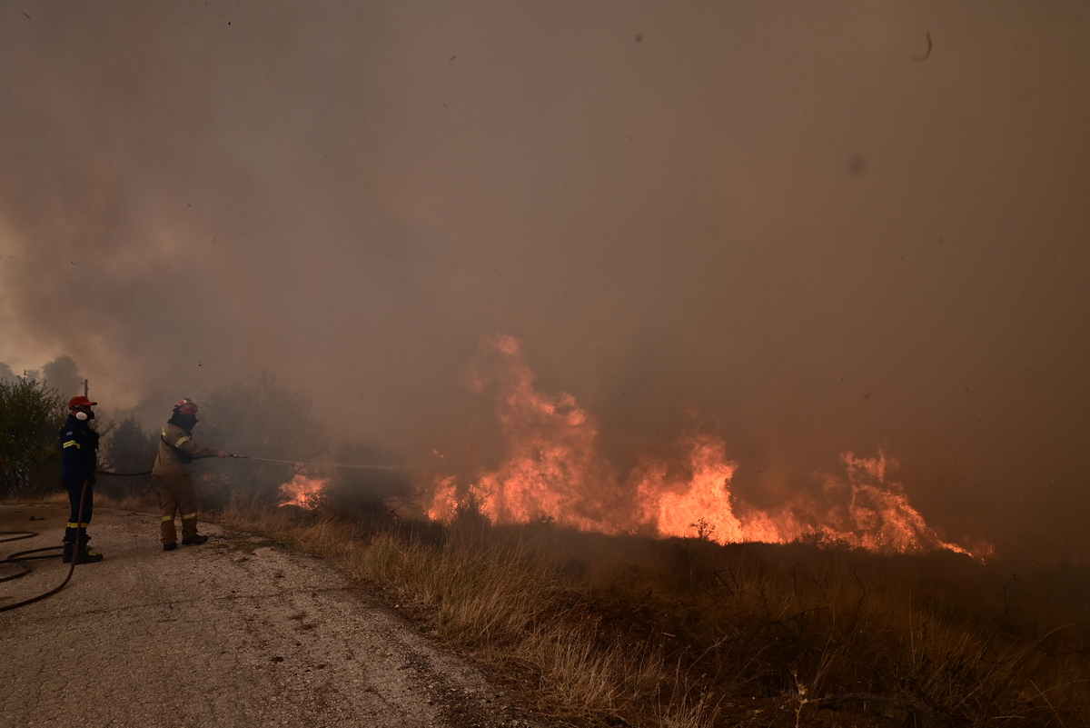 Χαλκιδική: 24ωρη απαγόρευση κυκλοφορίας σε δασικές περιοχές λόγω υψηλού ...