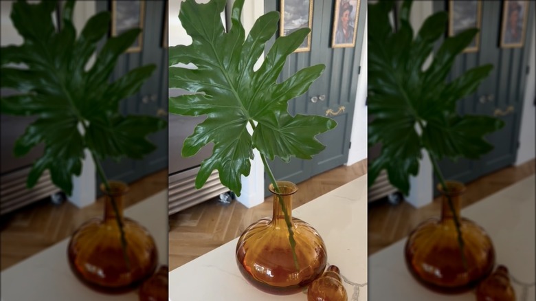 Give Your Old Decanters New Life With These Ingenious Upcycle Hacks