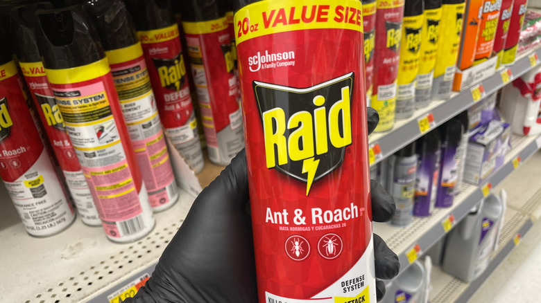 Why You Might Want To Think Twice Before Using Raid Spray To Bug-Proof ...